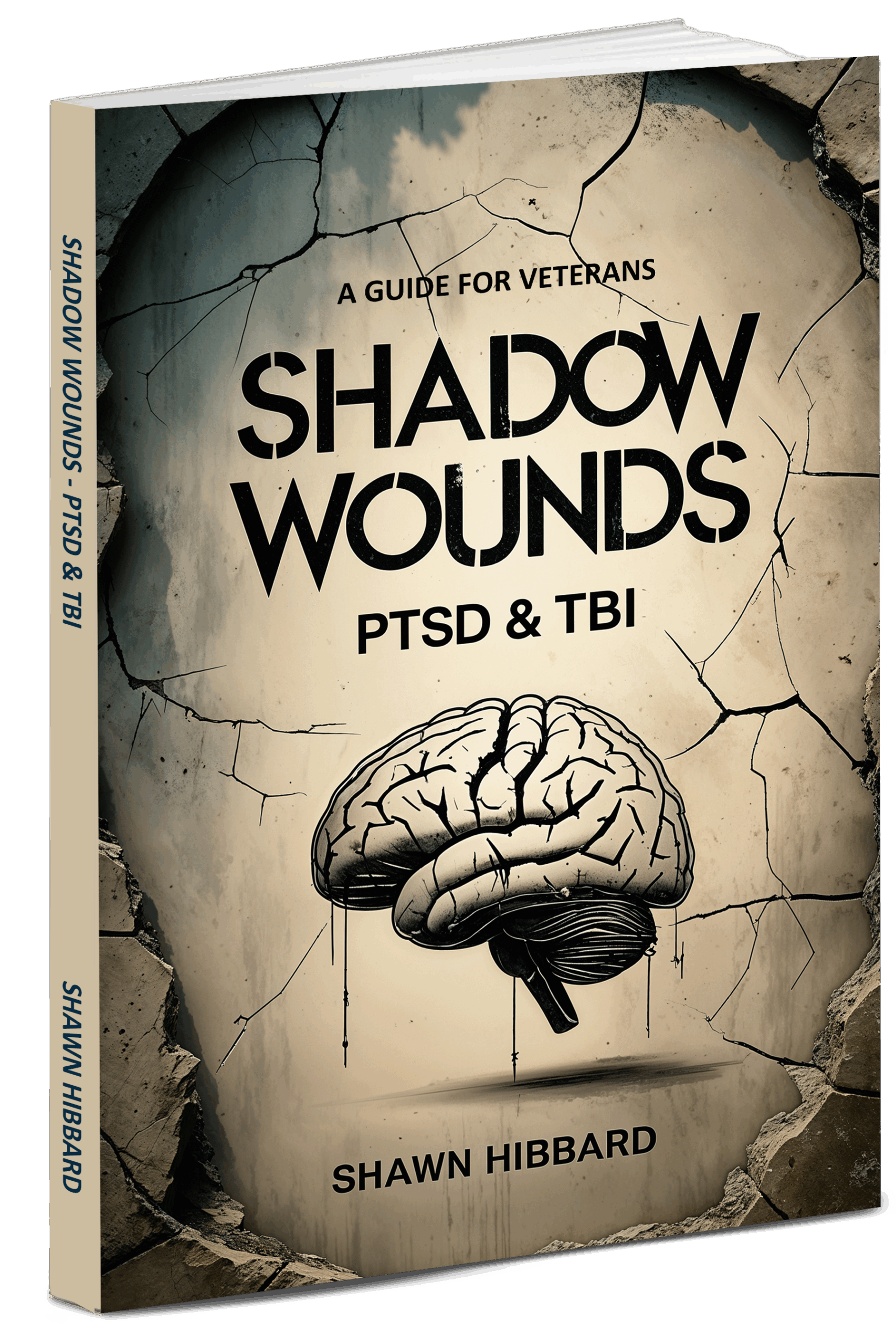 Shadow Wounds – PTSD and TBI - Nautical Salute